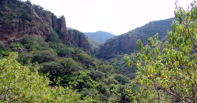 En Cuerámaro la naturaleza es parte de su belleza | Periódico Notus