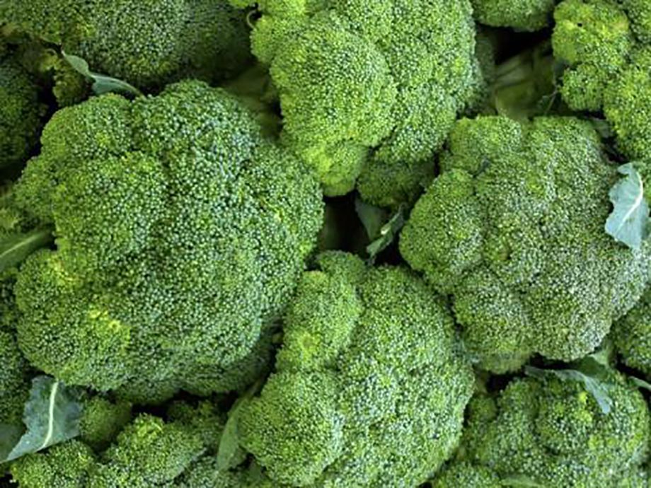 Razones por las que el brócoli es el vegetal más saludable