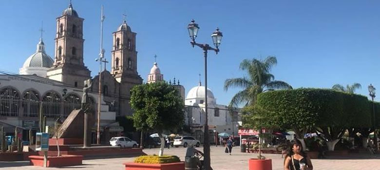 Cuerámaro su agricultura, ecología y suelo