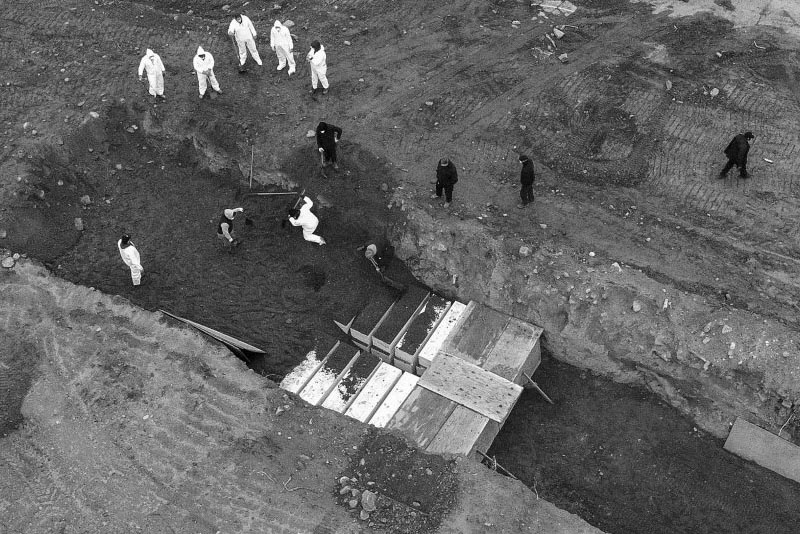 La Isla de los Muertos -cuento-