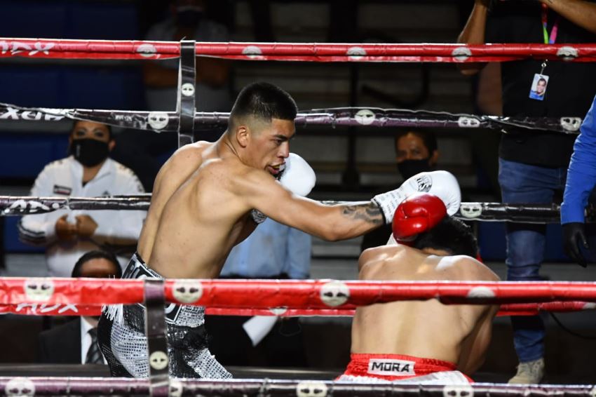 Triunfan boxeadores irapuatenses en Campeonato Juvenil | Periódico Notus