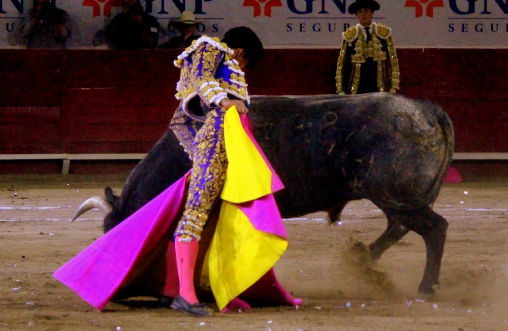 Valadez a hombros, José Mauricio en torero y Roca Rey cumplió ...