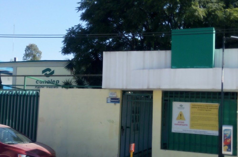 Por riña, detonan arma de fuego en el CONALEP Irapuato | Periódico Notus