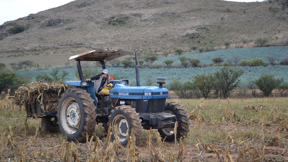 Maestro no va a dar clases en Ojo de Agua de Huanumo, en Abasolo