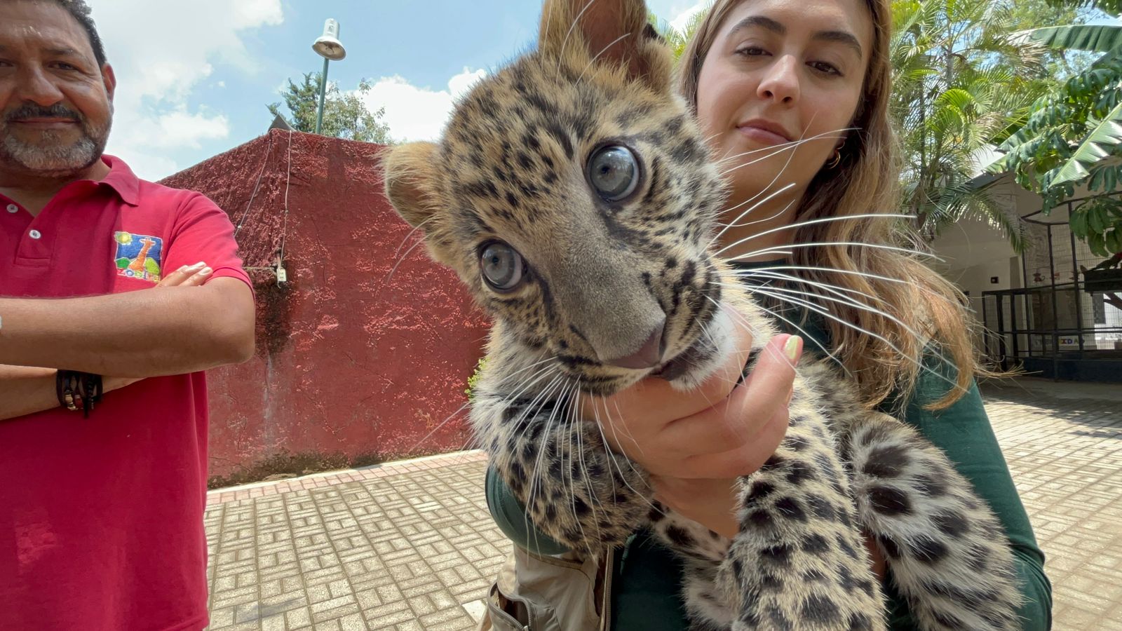 Podrás convivir con Khibó en el Zoológico de Irapuato | Periódico Notus