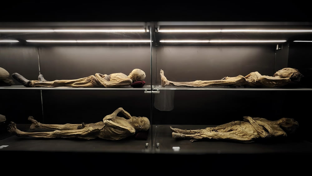 Museo de las Momias de Guanajuato recupera afluencia del pre-covid 19
